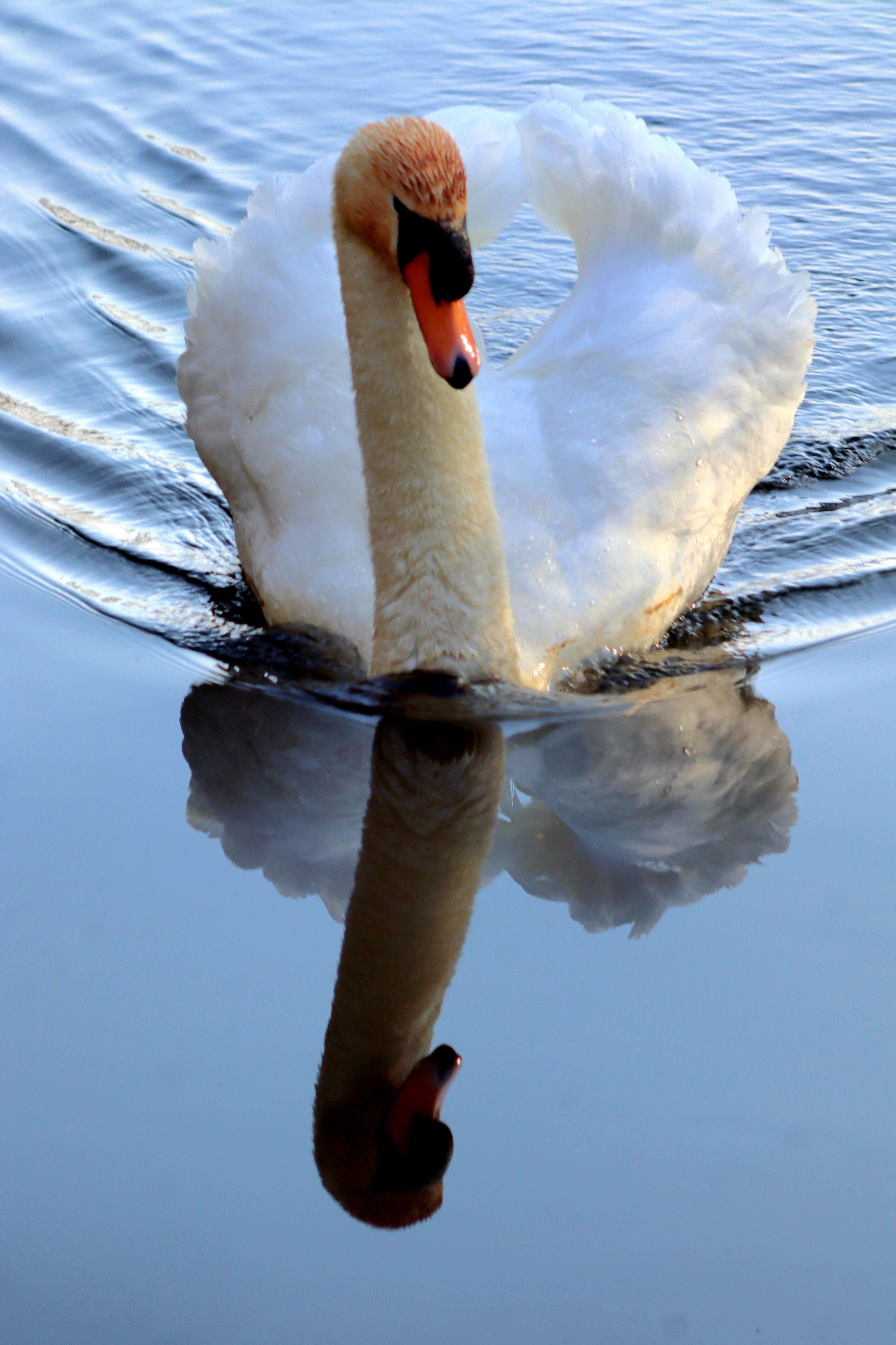 Your pictures of Scotland: Photographs from around the country - BBC News