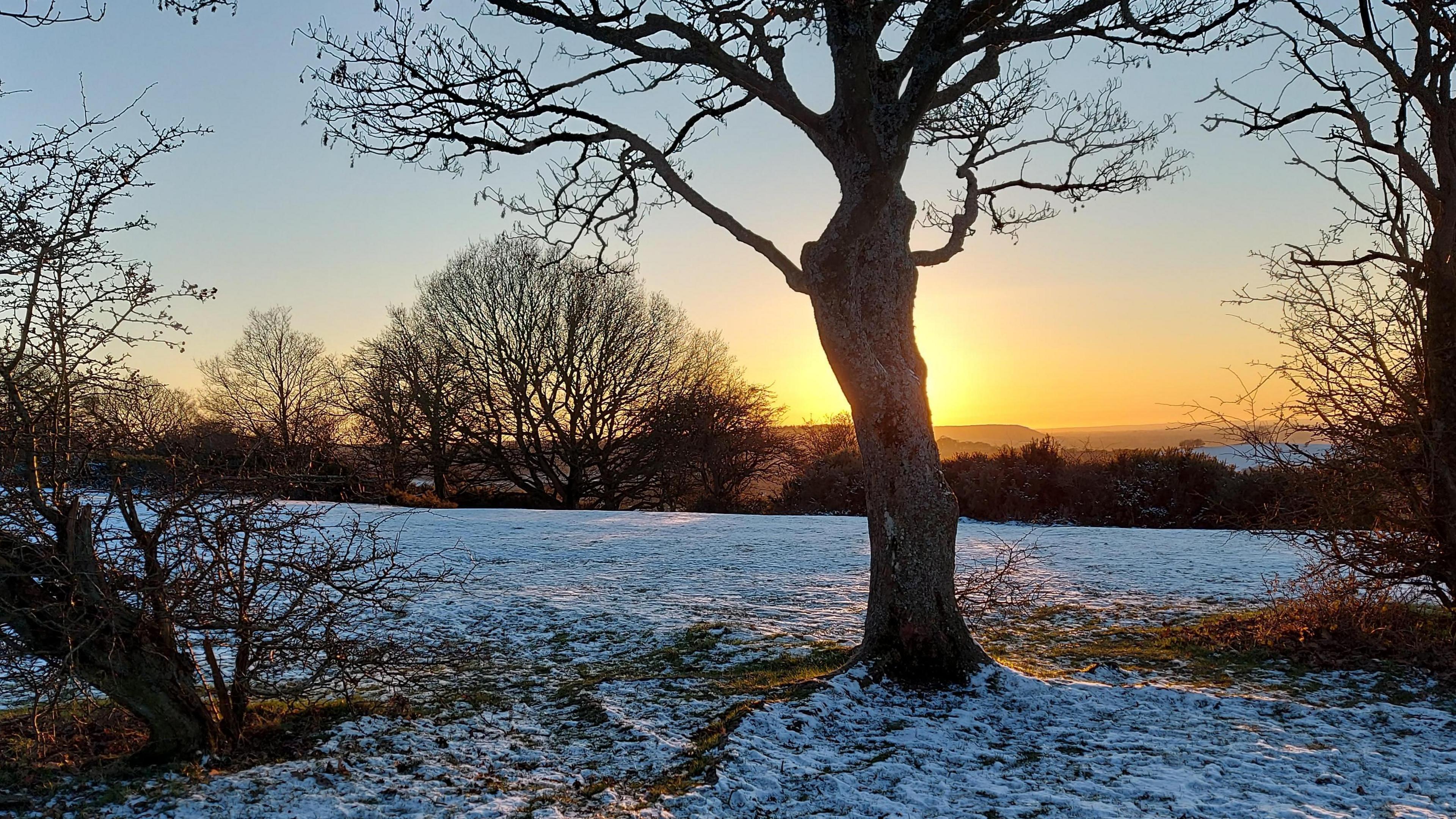 Schools in Buckinghamshire and Bedfordshire shut due to weather - BBC News
