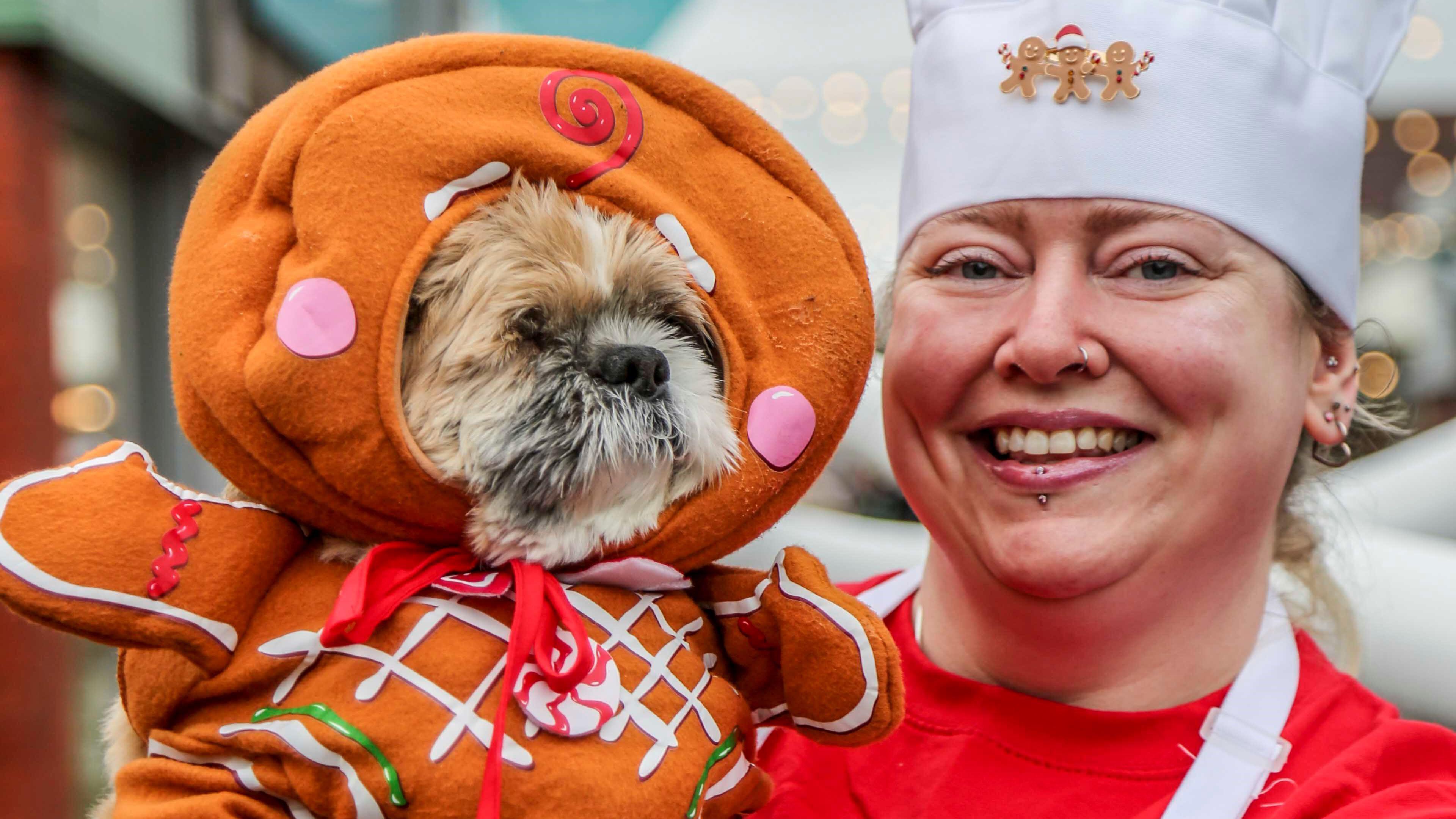 Dogs in Kenilworth day care dressed up for nativity scene - BBC News