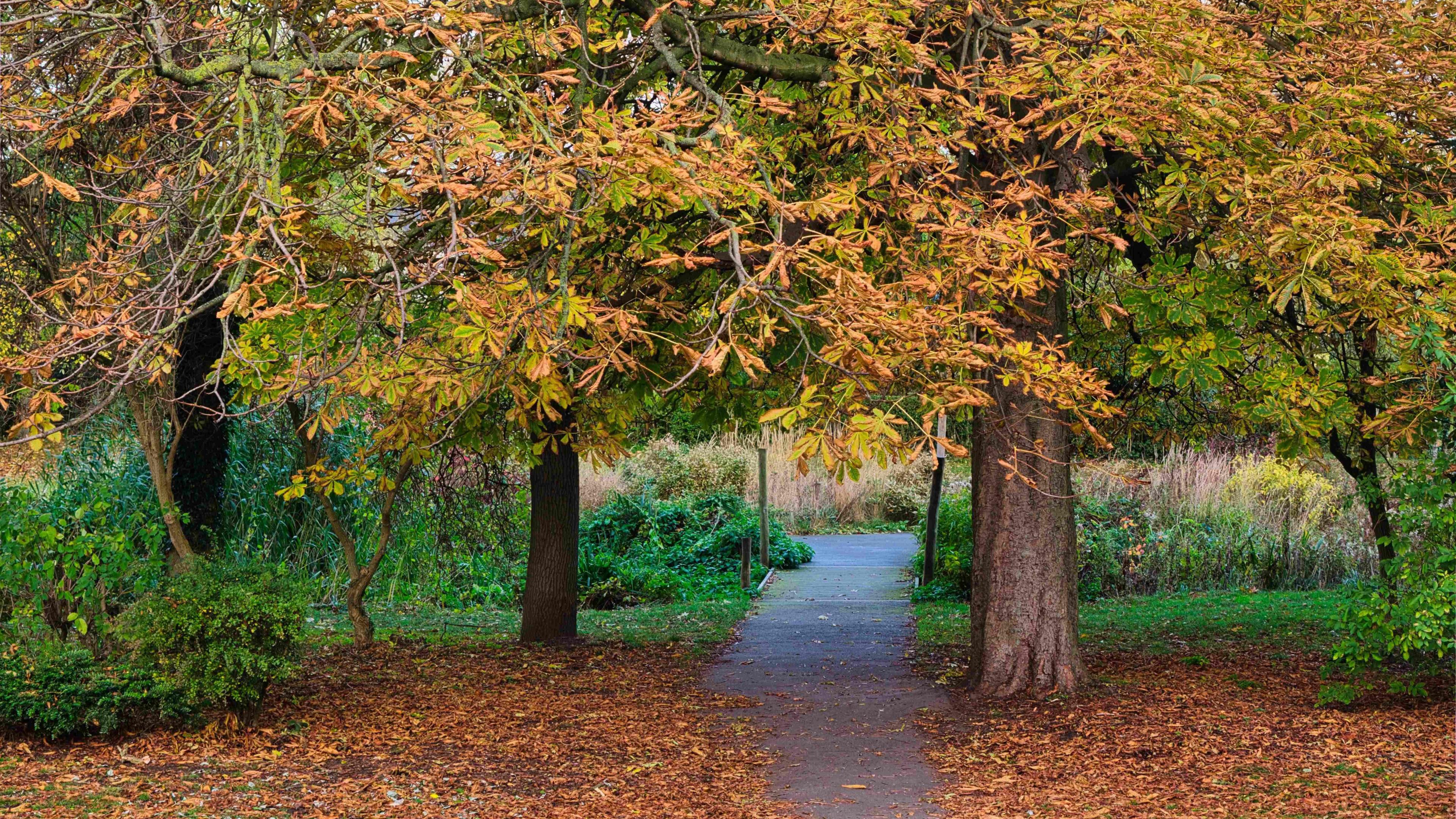 North East autumn pictures from the Weather Watchers - BBC News