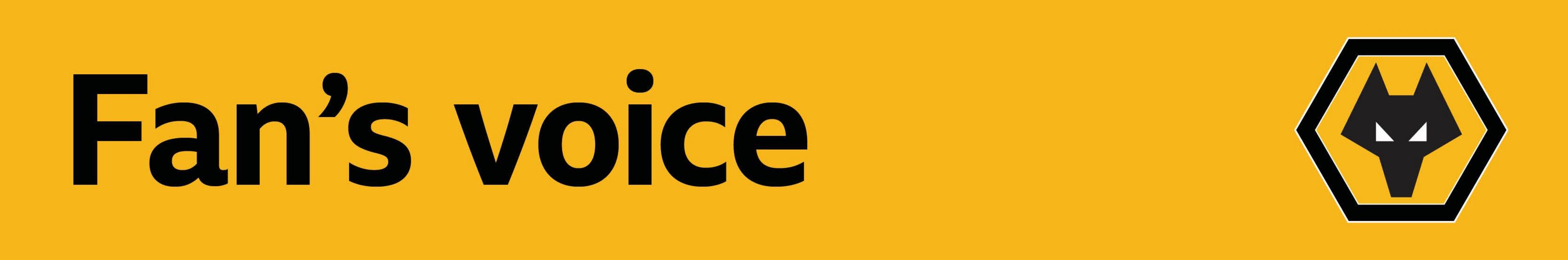 Wolves fan's voice: 'A quality number nine away from being a serious ...
