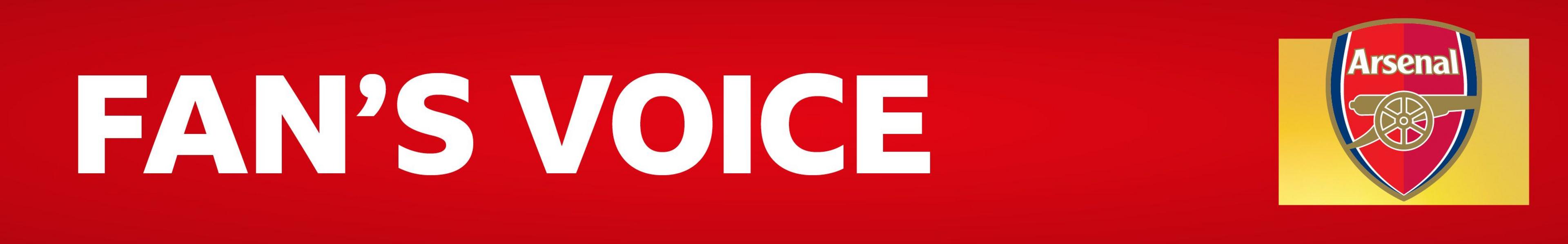 Arsenal news: Opinion - Fan writer on Mikel Merino's potential - BBC Sport