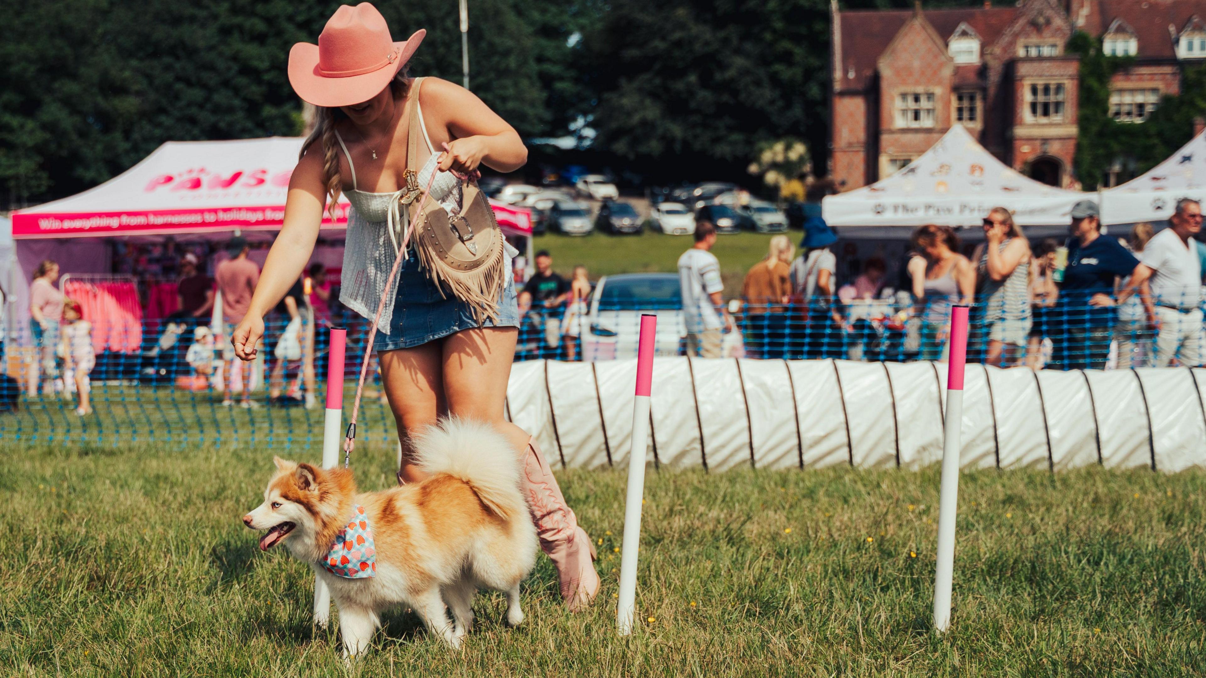 In Pictures: Pooches party at festival for dogs in Hampshire - BBC News