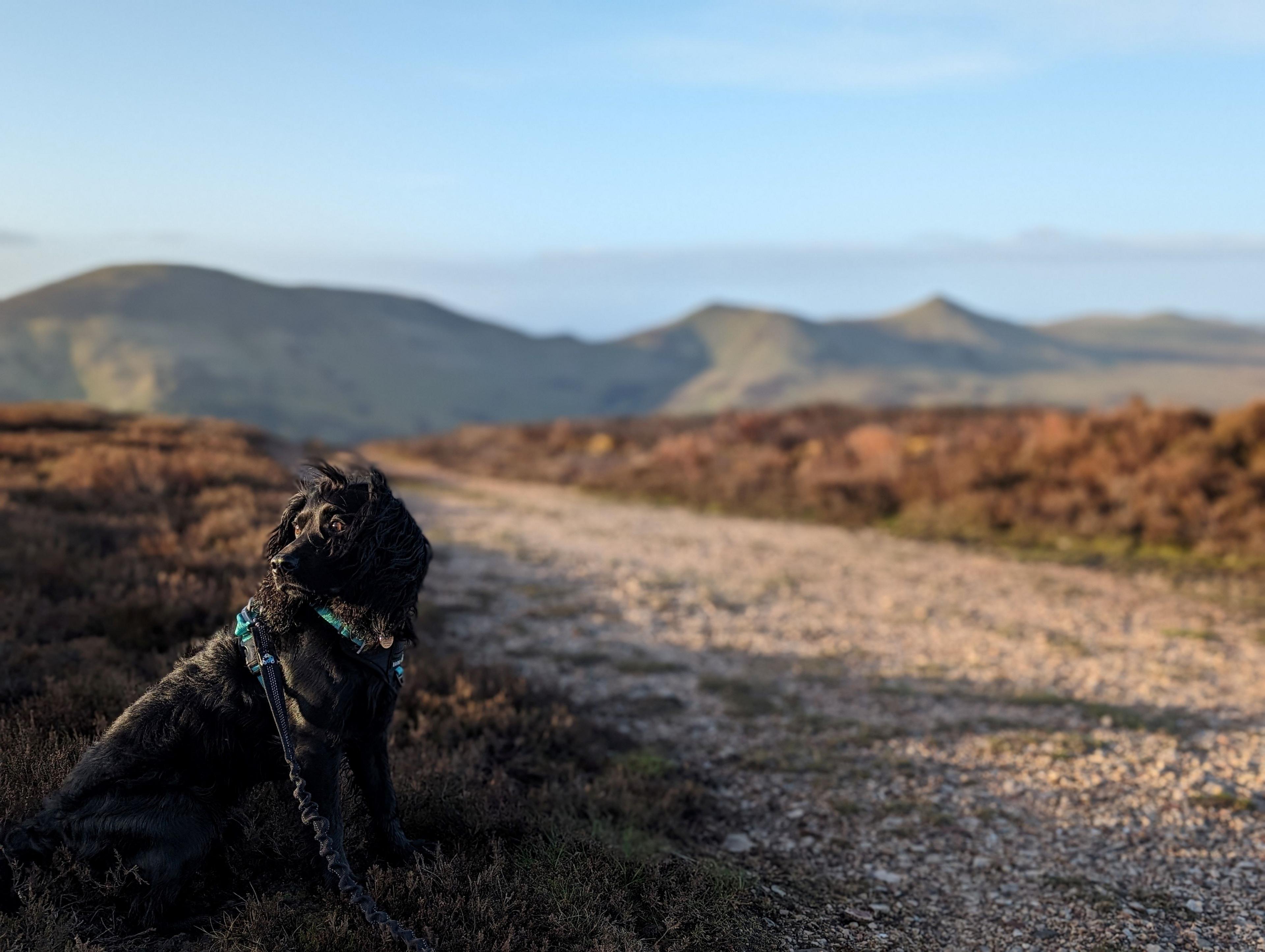 Your pictures of Scotland: 12 - 19 April - BBC News