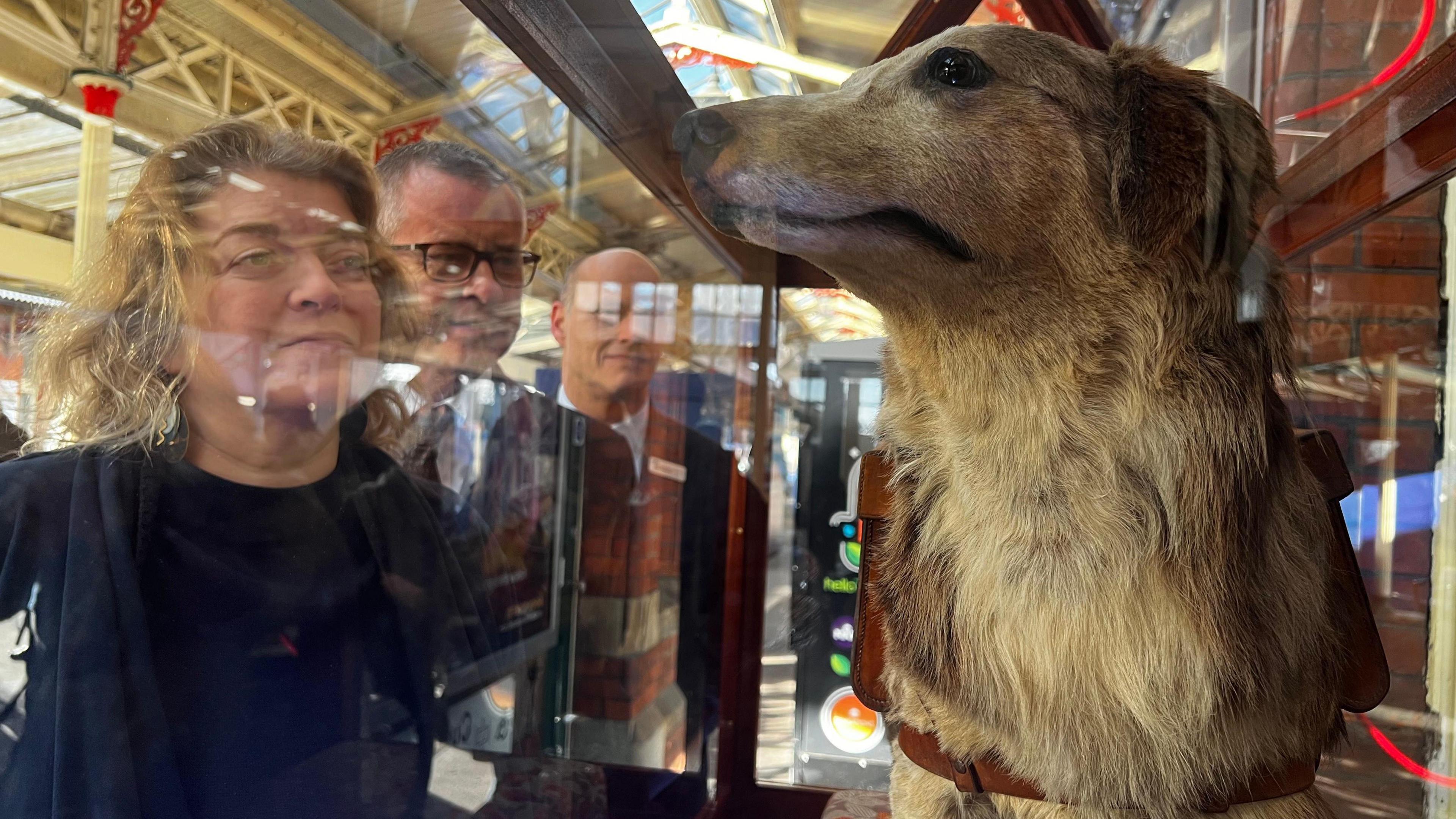 Stuffed Victorian dog returns to Slough train station home - BBC News