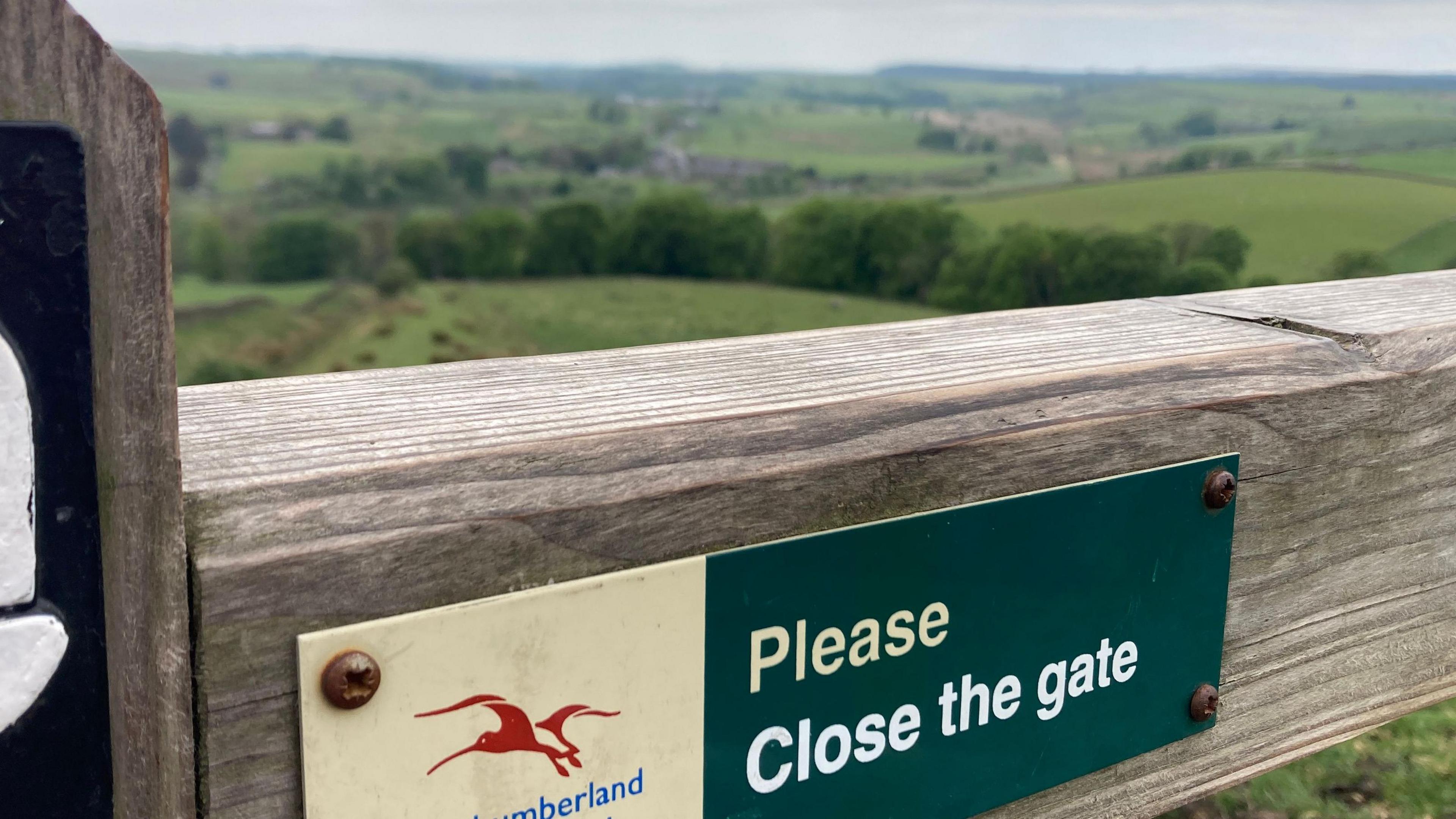 Hadrian's Wall area ranger to help restore natural habitats - BBC News