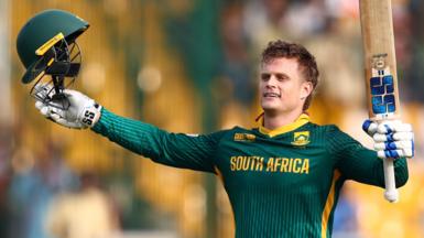 Zippy is Britain's second ever zonkey - a donkey-zebra cross - BBC Three