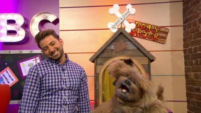 Hacker and Dodge - 'We're half-brothers' - BBC Newsround