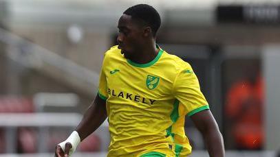 Emmanuel Adegboyega: Dundee Utd sign Norwich defender on loan - BBC Sport