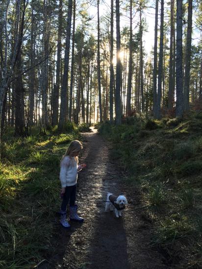 Your pictures of Scotland: 12-19 February - BBC News