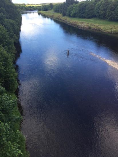 Your pictures of Scotland: 26 June - 3 July - BBC News