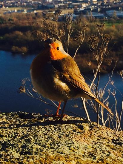 Your pictures of Scotland: 27 November - 4 December - BBC News