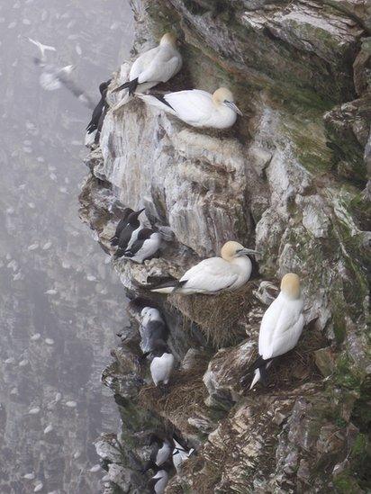 Your pictures of Scotland: 25 April - 2 May - BBC News