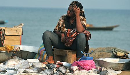 Equatorial Guinea profile - full overview - BBC News