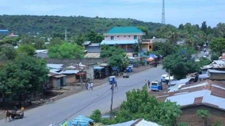 Waraana Bilisummaa Oromoo (WBO)/ABO-Shanee - BBC News Afaan Oromoo