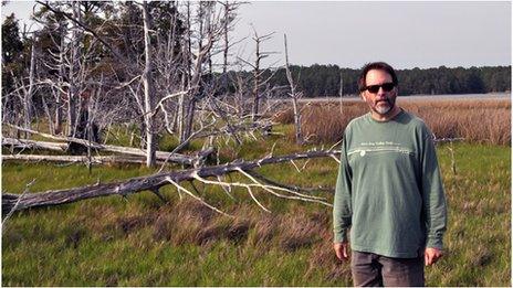 Virginia's dying marshes and climate change denial - BBC News