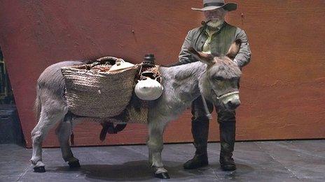 Donkey's stage and screen life story told in new book - BBC News