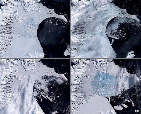 Larsen b ice shelf
