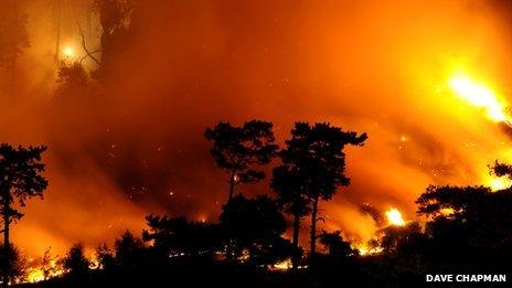 Grinshill Woods fire: Area 'will take a year to recover' - BBC News