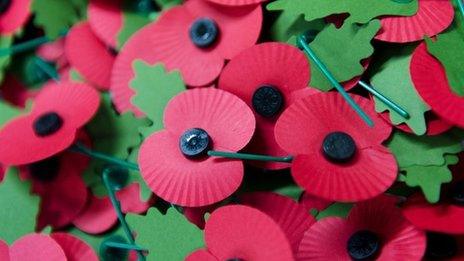 Tricks to stop your poppy falling off - BBC News