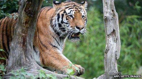 Council dragon attack plans - and other unusual information requests ...