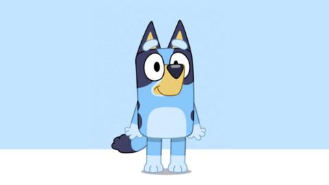 Find out all about the characters in Bluey, family and friends. - CBeebies