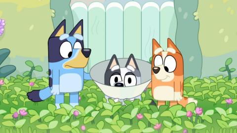 Muffin Cone - Watch Bluey on CBeebies - CBeebies