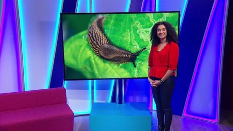 Sony World Photo Awards: Fantastic award-winning pictures - BBC Newsround