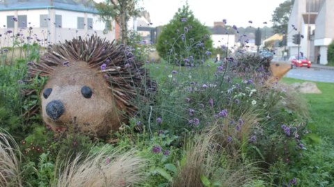 New addition to roundabout's giant hedgehog family - BBC Newsround