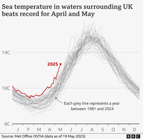 Marine heatwave: UK sea temperatures soar after exceptionally warm ...
