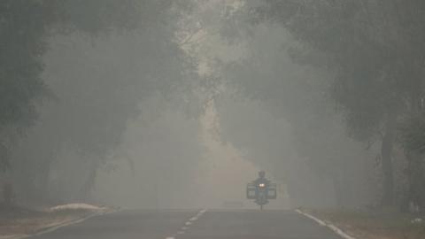 Indonesia haze: Why do forests keep burning? - BBC News