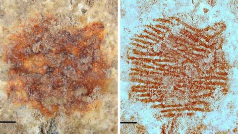 Ancient human fingerprint suggests Neanderthals made art - BBC News