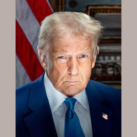 Decoding Donald Trump's new official portrait - BBC News