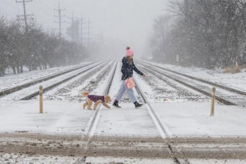 US winter storm in pictures - BBC News