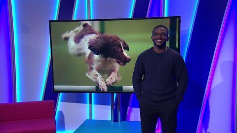 Review: JLS - Jukebox - BBC Newsround