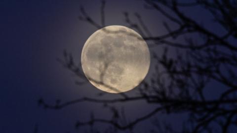 Full Snow Moon: What is a Full Snow Moon? - BBC Newsround