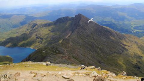 Snowdon: Park to use mountain's Welsh name Yr Wyddfa - BBC News