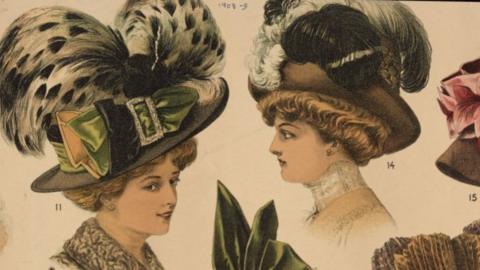 RSPB's Emily Williamson: The woman who saved a million birds - BBC News