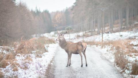 Your pictures of Scotland: 24 November - 1 December - BBC News