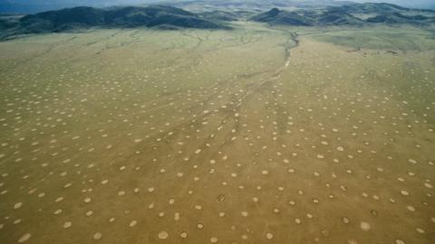Fairy Circles: What are they and why do they form? - BBC Newsround