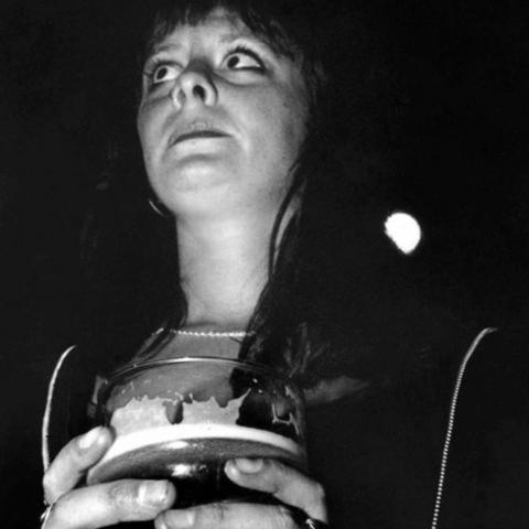 Spiders in Hull: Music venue photos display a 'rare gem' - BBC News