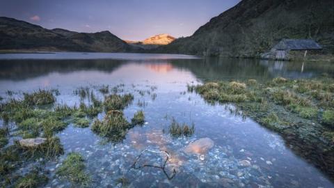 Lluniau: Cymru yn y gwanwyn // Wales in springtime - BBC Cymru Fyw