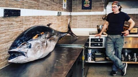 Blue fin tuna being caught and sold under new licences - BBC News