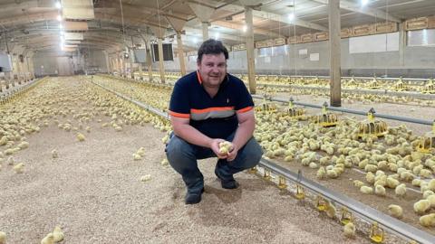 Why chicken is getting more and more expensive - BBC News