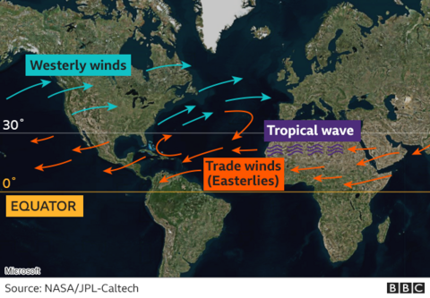 Hurricanes: A guide to the world's deadliest storms - BBC News