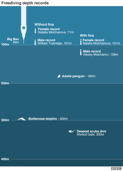 Freediving: The lure of the deep - BBC News