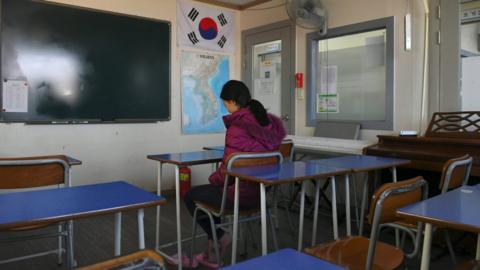 North Korean defectors: What happens when they get to the South? - BBC News