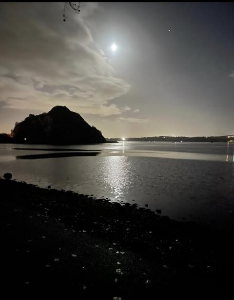 Your pictures of Scotland: 11 - 18 November - BBC News