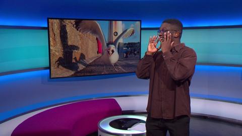 Your New Year's resolutions - BBC Newsround