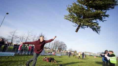 Christmas tree throwing contest held in Ireland - BBC News